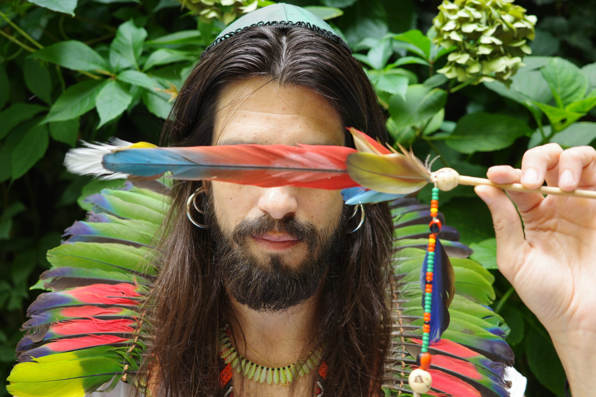 Eine andere WordPress-Site.